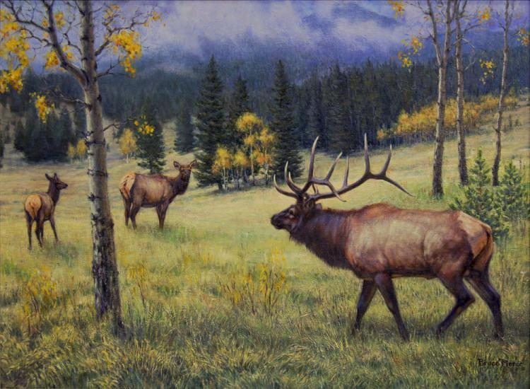 Bruce Pierce | Fall Attraction on Spanish Creek | MutualArt