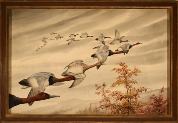 Rex Brasher | Canvasbacks in Flight | MutualArt