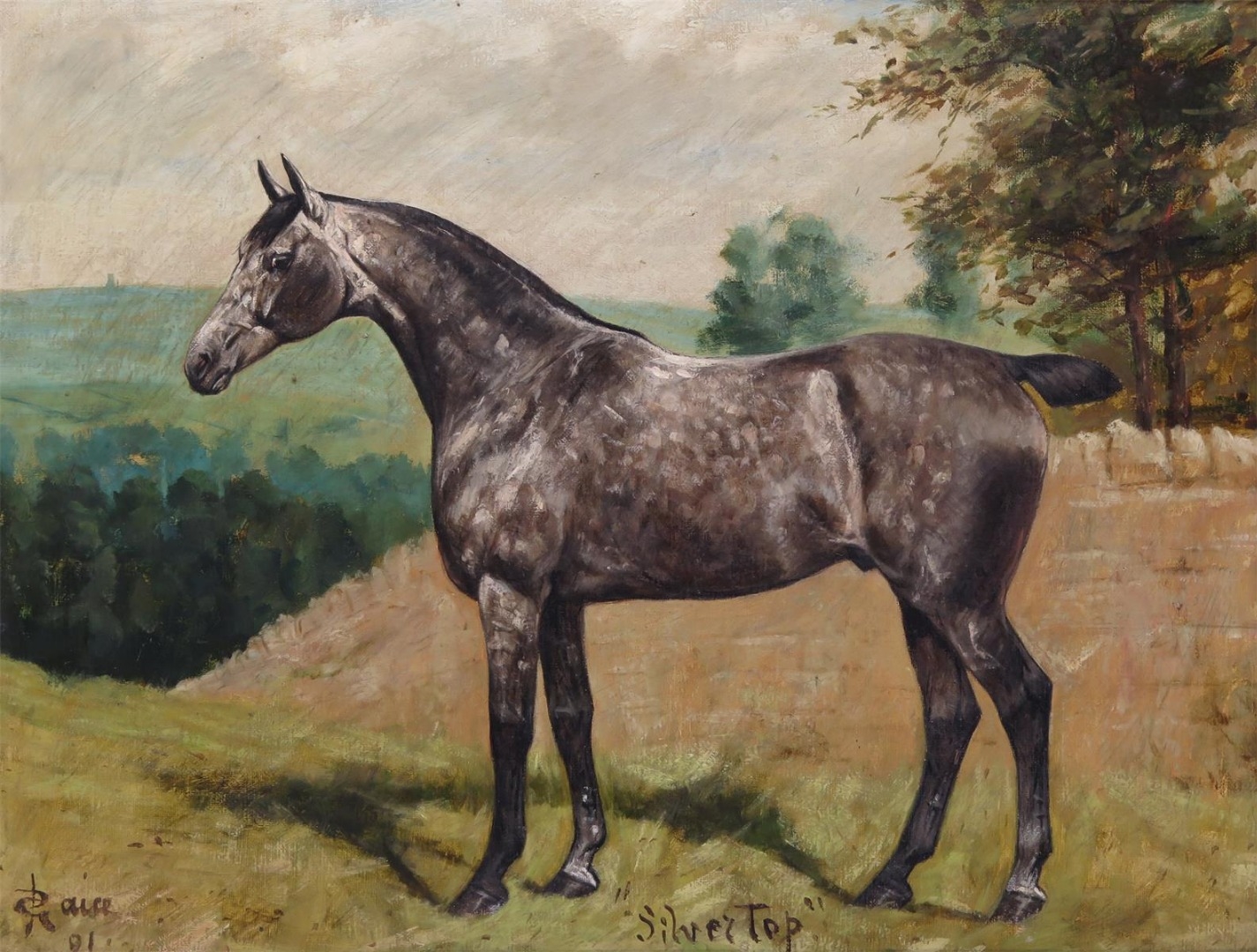 George Paice | SilverTop (1991) | MutualArt