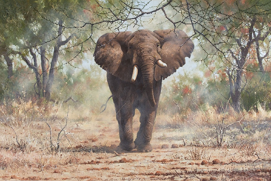 Michael Ghaui | Elephant | MutualArt