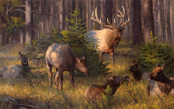 Kyle Sims | Dappled Light | MutualArt