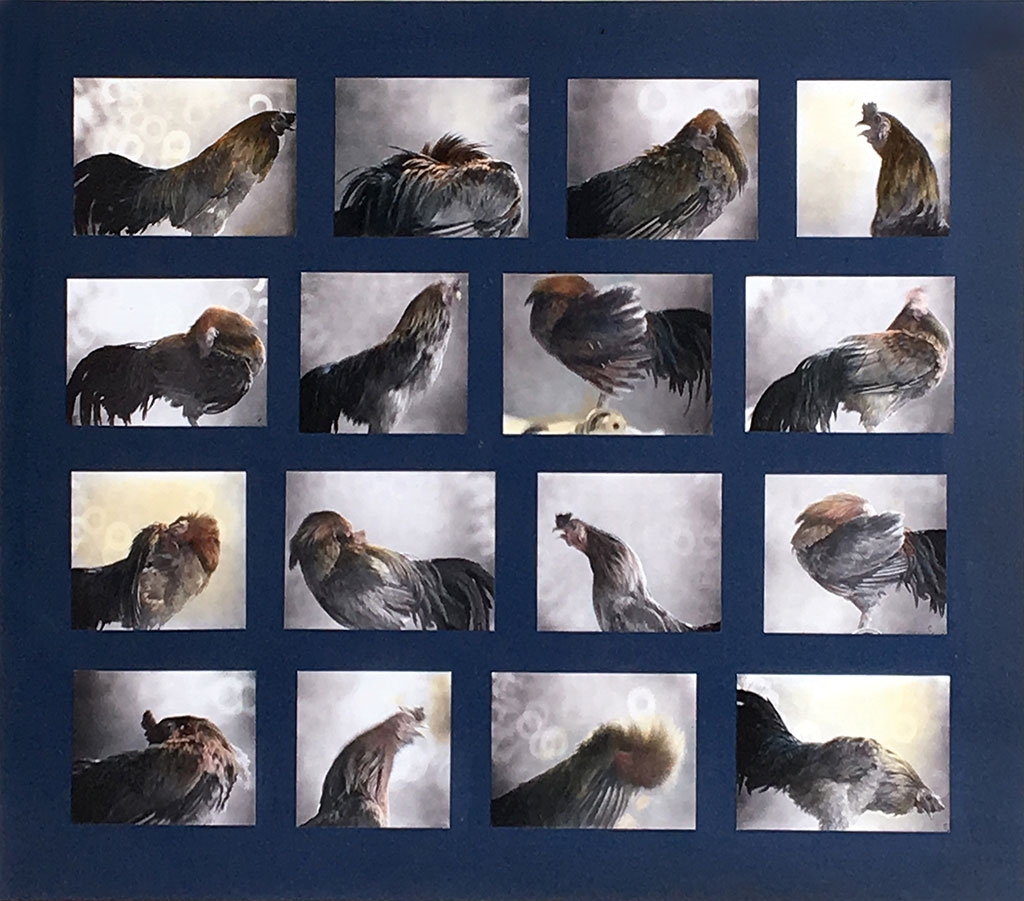 Ismail Hashim | Cock of the Loft? | MutualArt