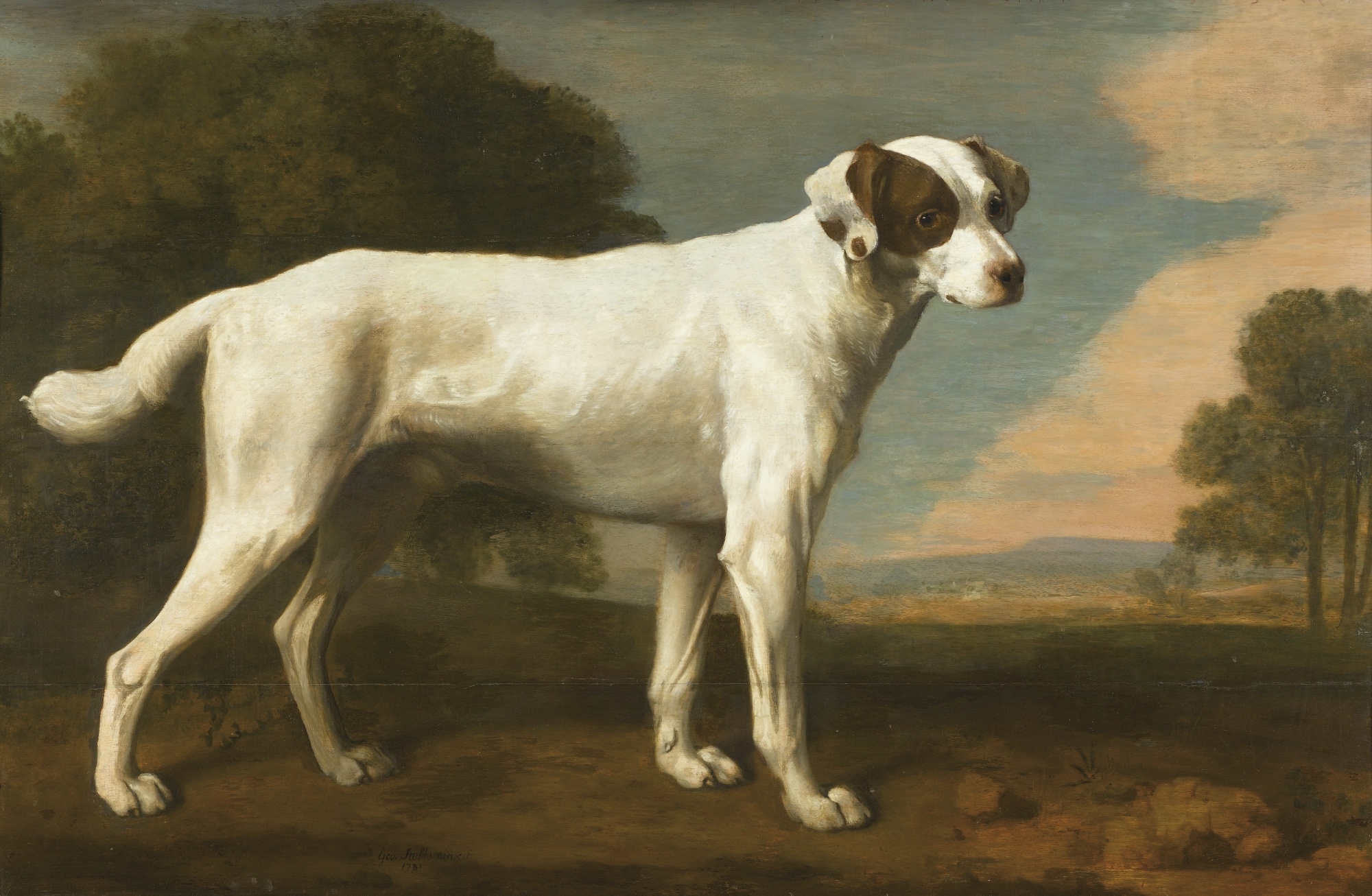 George P Dog