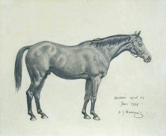 Sir Alfred James Munnings | General Jack Seely's War Horse Warrior ...