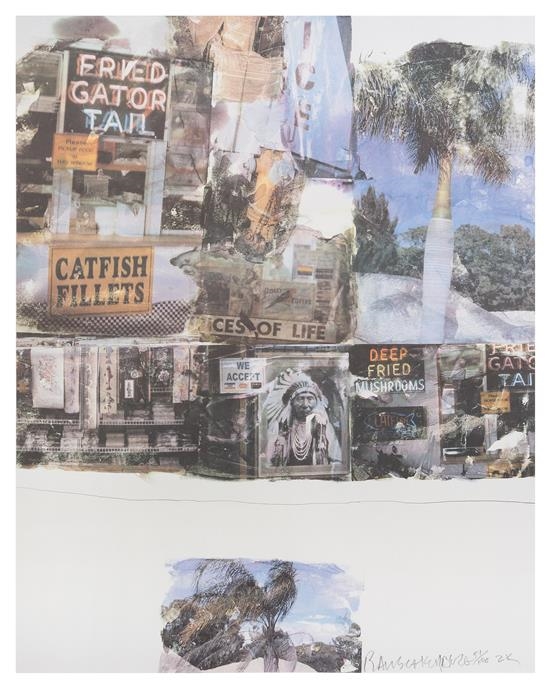 Robert Rauschenberg | Catfish Tales | MutualArt