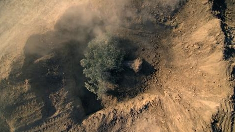 Janis Rafa | Biography