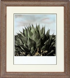 Ruotong Guan | Artist Overview | MutualArt