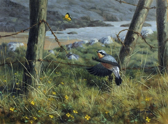 Artworks of Julian Friers (Irish)