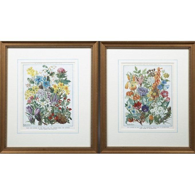 Winifred Walker | Fruit and Flowers of the Holy Land and The Flowers of ...