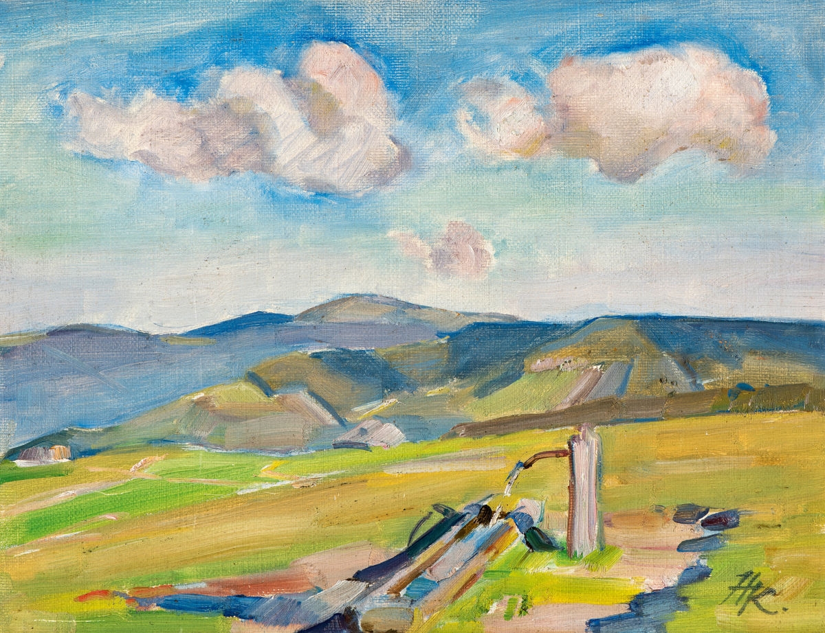 Hendrik Koehler | Feldbergblick von der Halde | MutualArt