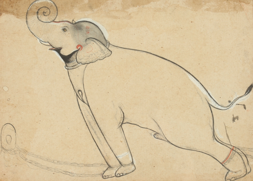 Indian School, 19th Century | TETHERED ELEPHANT (Circa 1800) | MutualArt