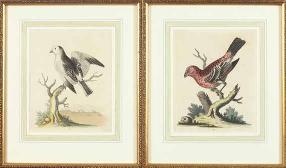 George Edwards | GROUP OF FOUR 18TH CENTURY GILTWOOD FRAMED HANDCOLORED ...