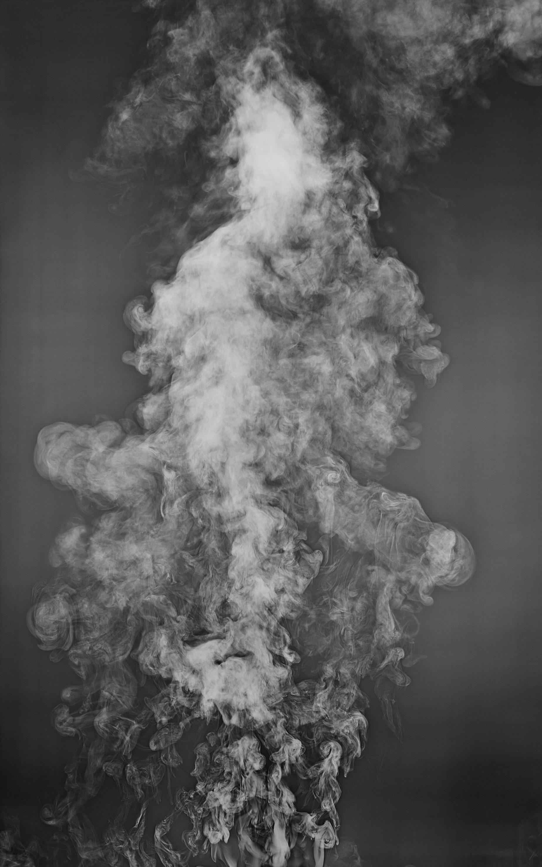 Adam Fuss | Untitled from My Ghost (2001) | MutualArt