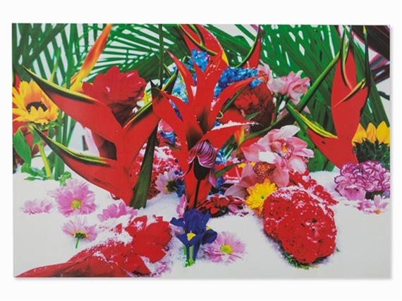 Artworks of Marc Quinn (British, 1964)