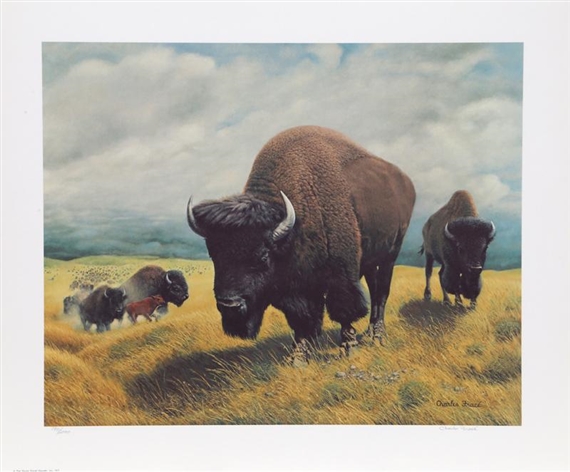 Charles Frace | Bison (1975) | MutualArt