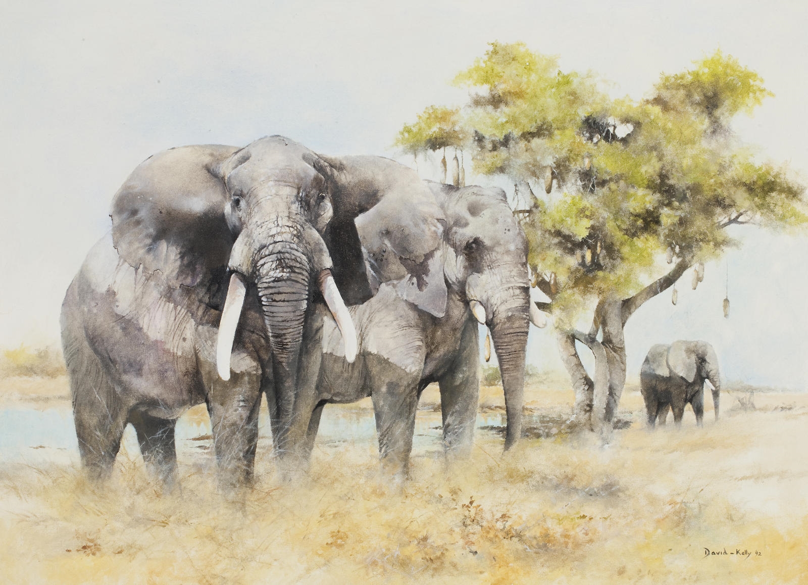 David Kelly | Elephants by waterhole (1992) | MutualArt