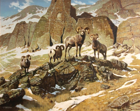 Terry Swanton Bateman | Four bighorn rams | MutualArt