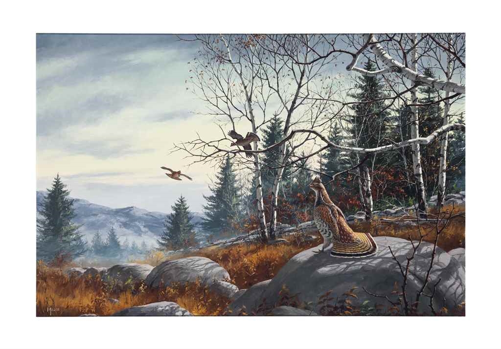 David Maass | Black ducks dropping into a winter marsh. | MutualArt