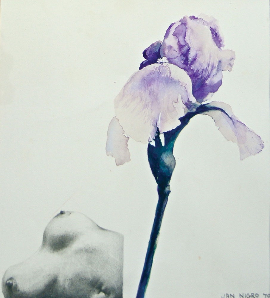 Jan Nigro | Iris and Torso (1970) | MutualArt