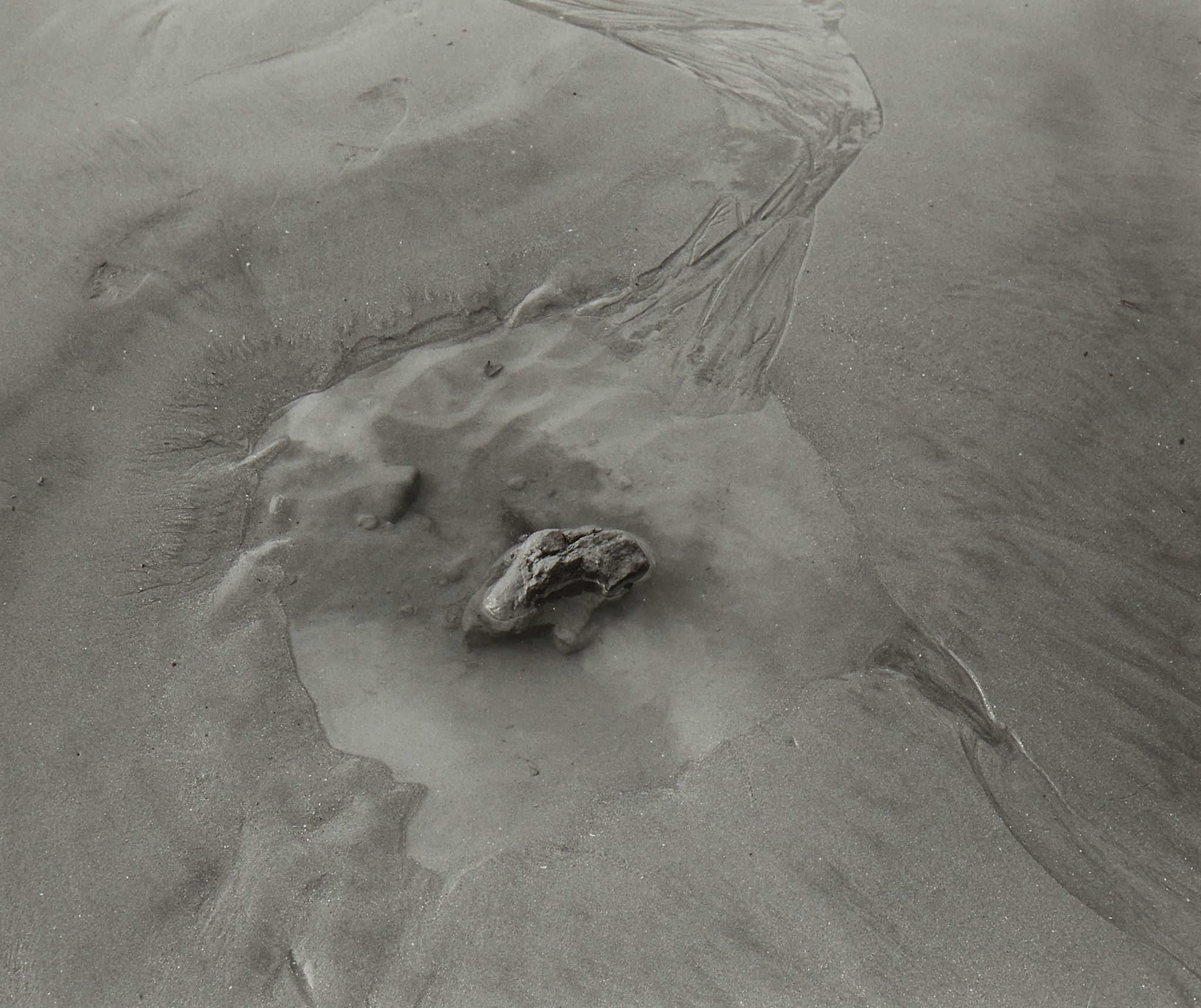 Fay Godwin | Pett Level Beach (1988) | MutualArt