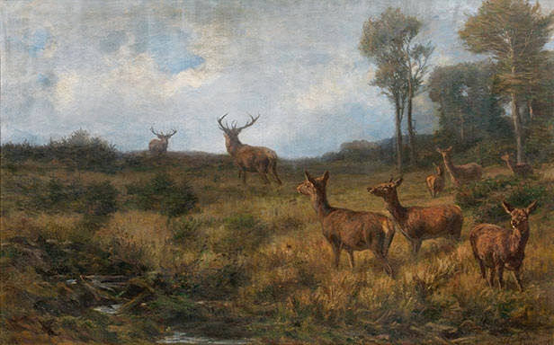 Franz Xaver von Pausinger | Herd of stags on a forest glade | MutualArt