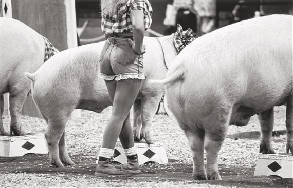 John Noeding | Strike a Pose | MutualArt