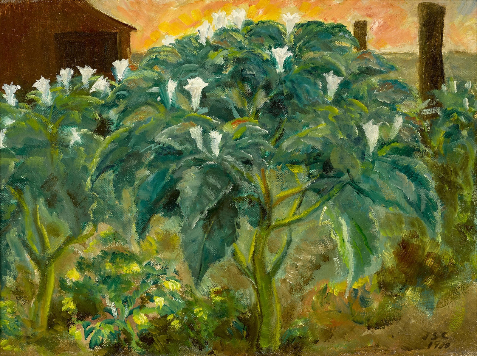 John Steuart Curry | Night Flower (1930) | MutualArt