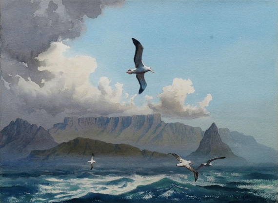 John Cyril Harrison | Albatross flying with Table Mountain beyond ...