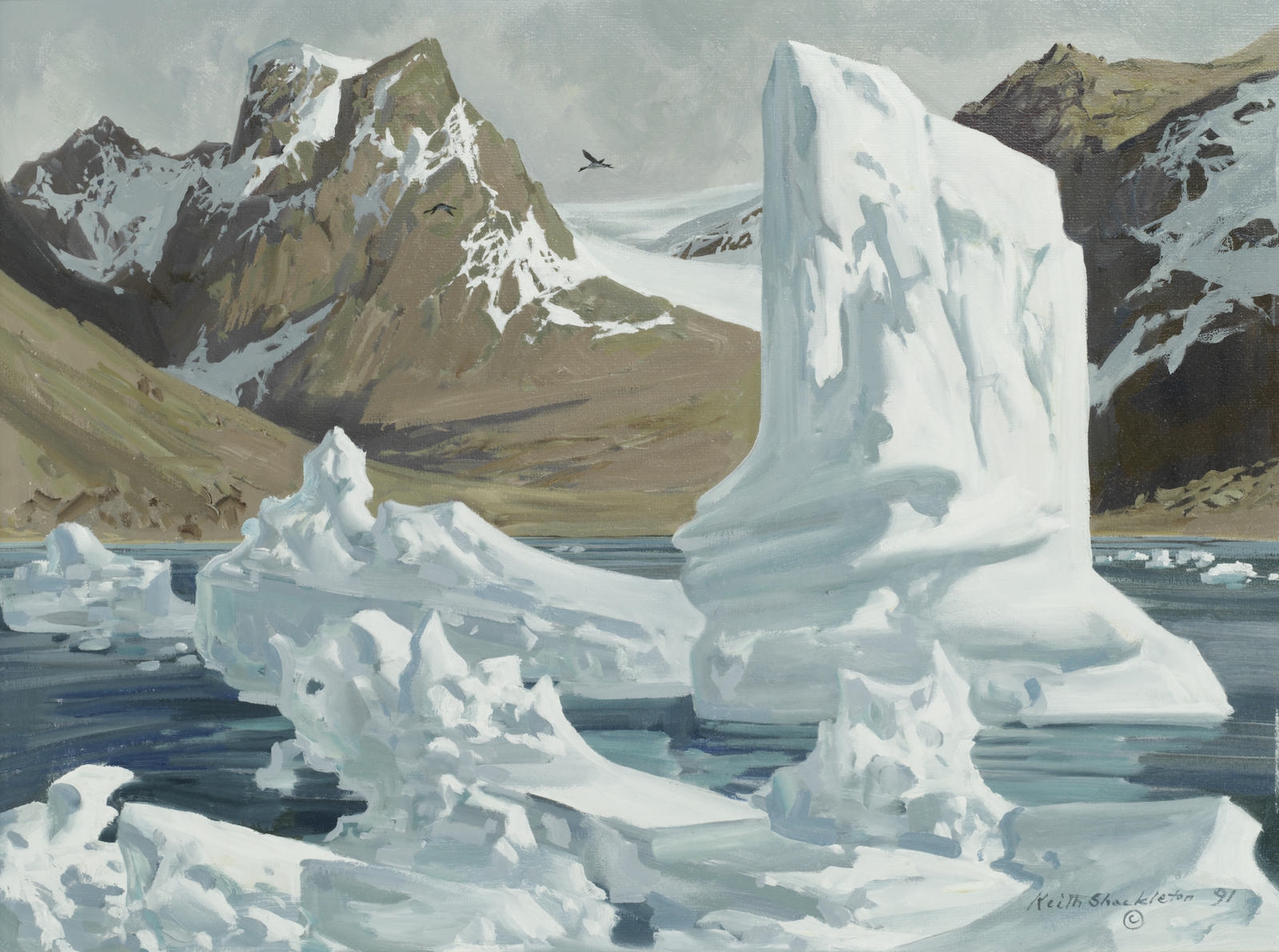 Keith Shackleton | Geese flying over glaciers (1991) | MutualArt