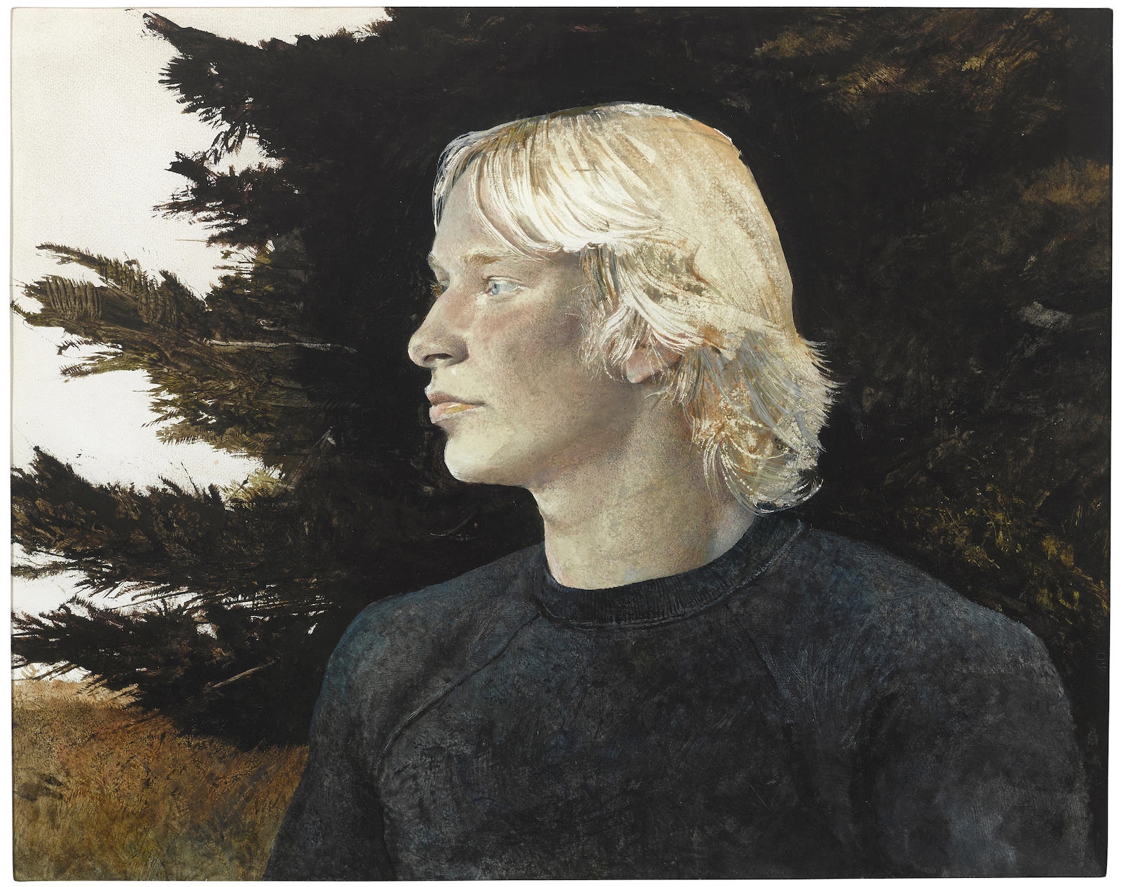 Andrew Wyeth | Hawking (1978) | MutualArt