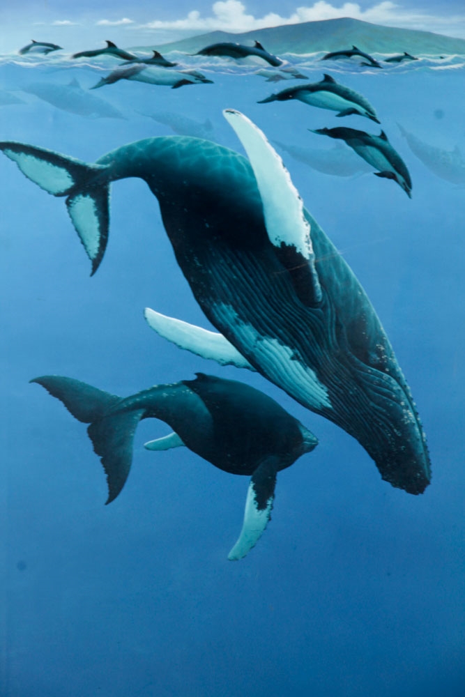 Don McMichael | Twelve whales (1984) | MutualArt