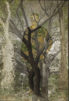 Jordan Sweke | 2 Artworks | MutualArt