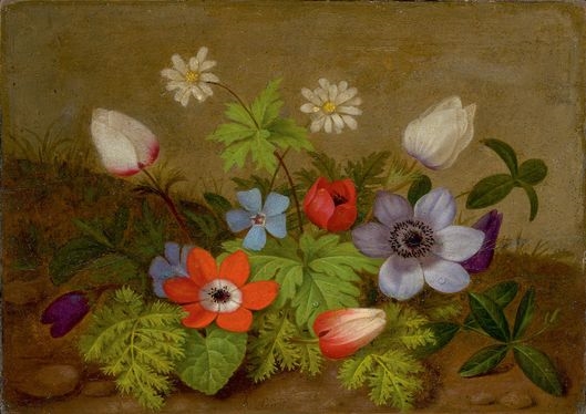 Adolf Carl Senff | Blumenstillleben | MutualArt