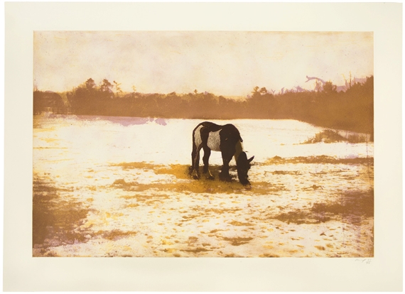 Peter Doig | Pinto | MutualArt