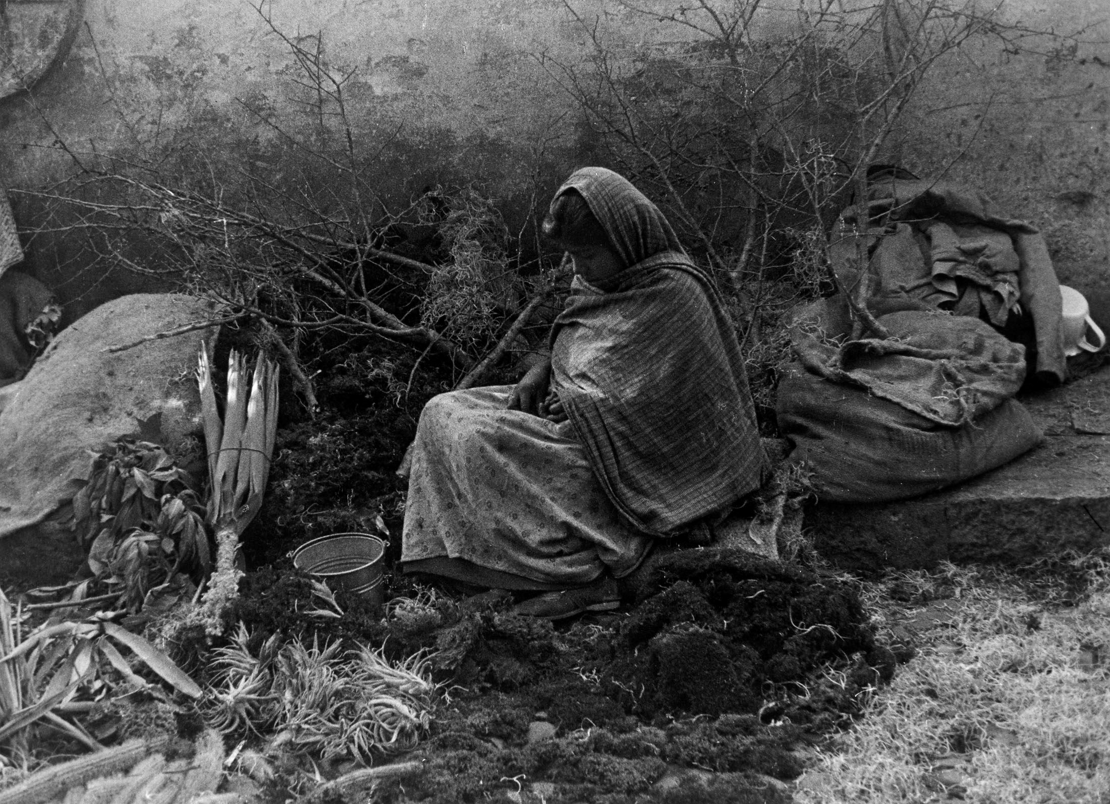 Ellen Auerbach | Queretaro, Mexico (1955) | MutualArt