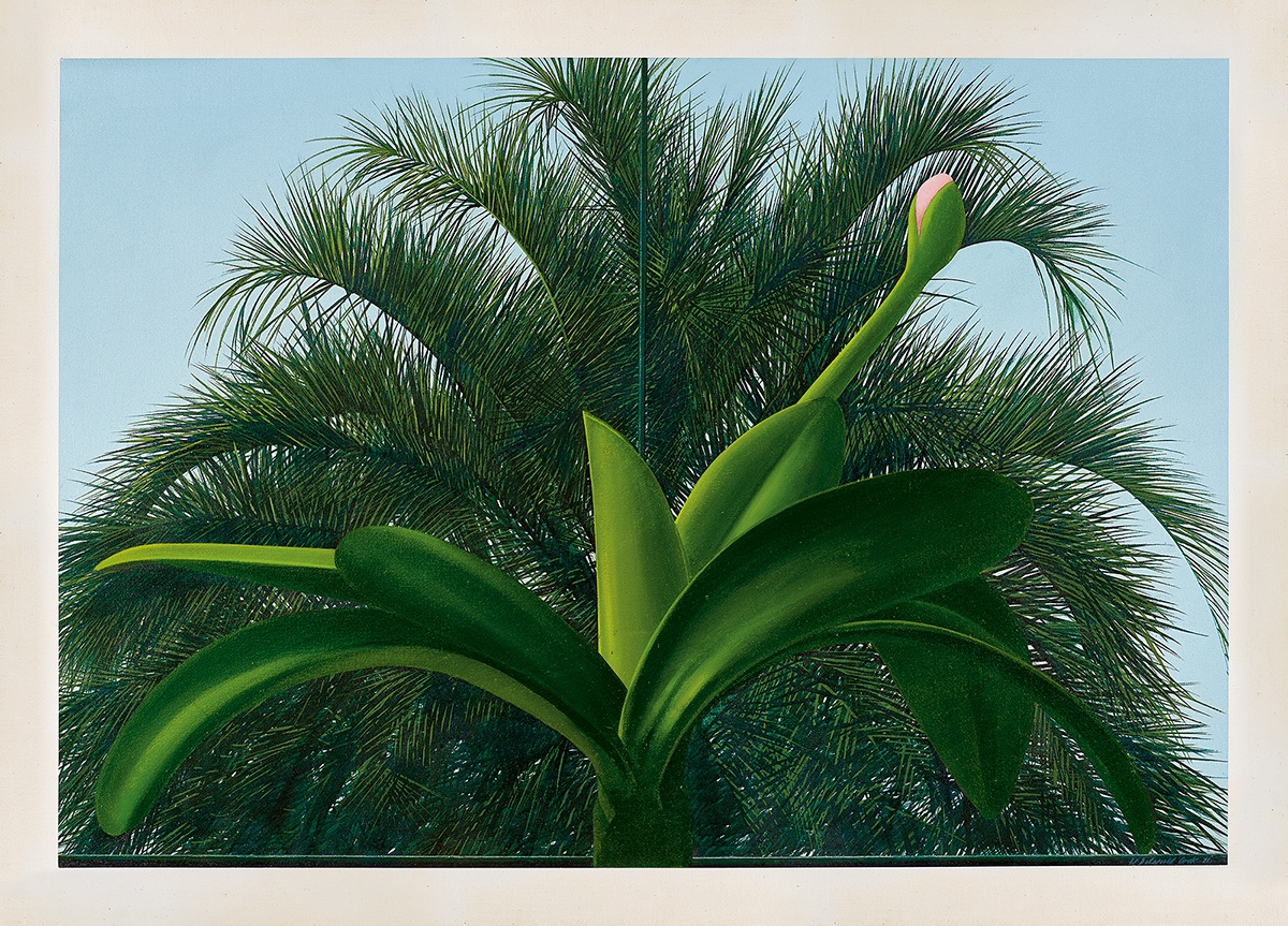 William Delafield Cook | A Plant and a Tree (1971) | MutualArt