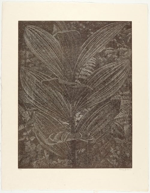 Franz Gertsch | Gelber Enzian (Sepia) (2003) | MutualArt