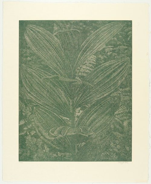 Franz Gertsch | Gelber Enzian (Sepia) (2003) | MutualArt