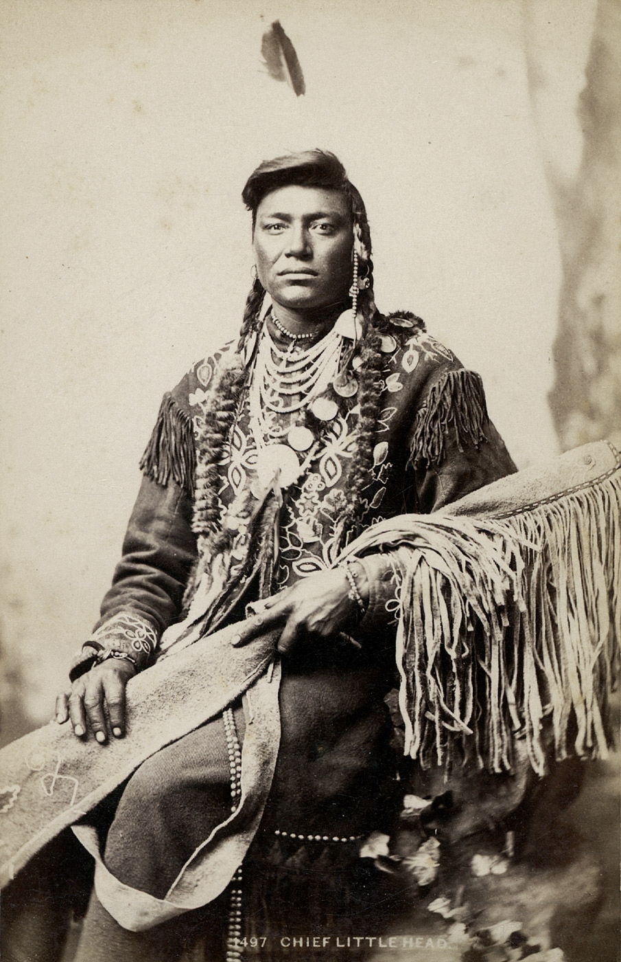 Frank Jay Haynes | Portrait of Chief White Bull (1880) | MutualArt
