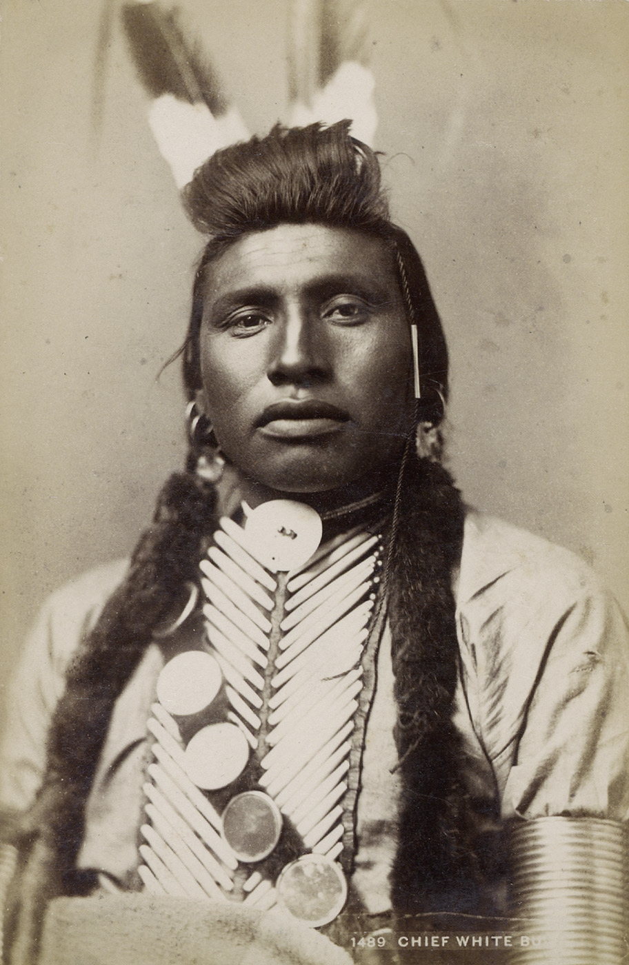 Frank Jay Haynes | Portrait of Chief White Bull (1880) | MutualArt