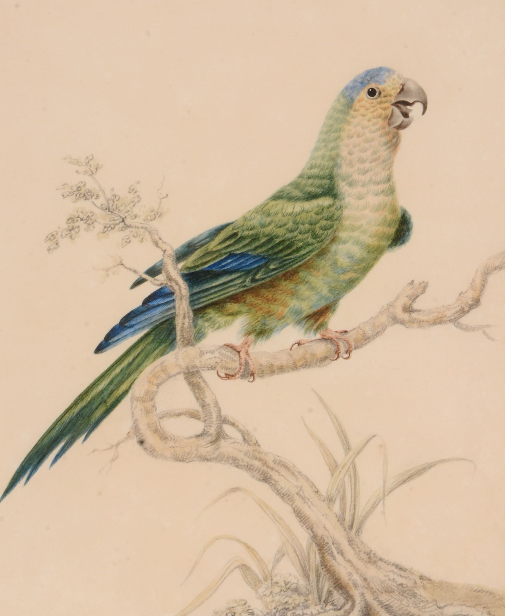 MutualArt.com - The Web's Largest Art Information Service.