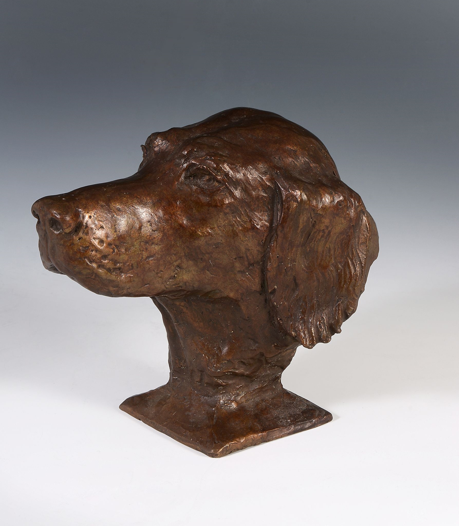 Ben Panting | Head of a Setter | MutualArt