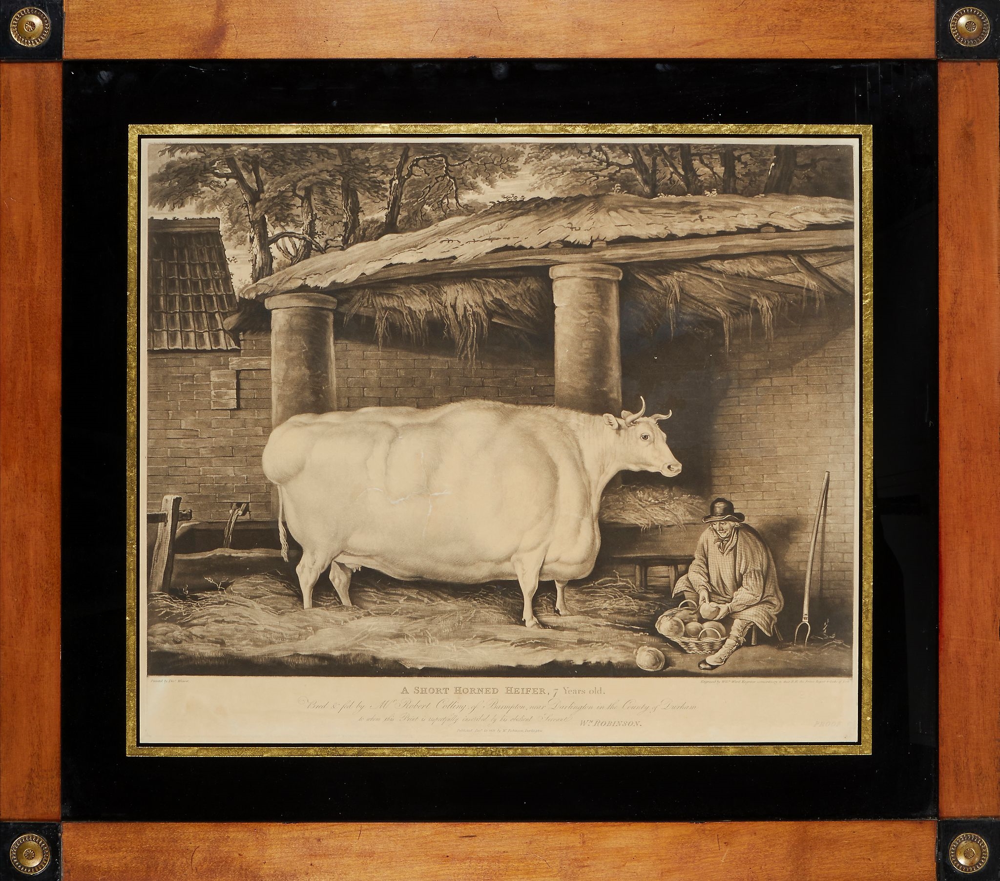 William Ward | A Short Horned Heifer, 7 Years Old (1811) | MutualArt