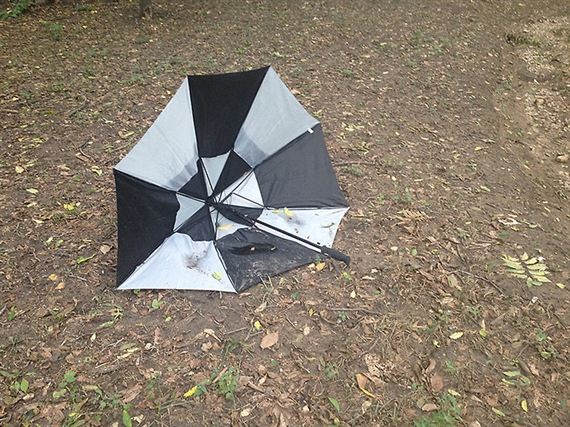 Jeff Gibbons | Artist Overview | MutualArt