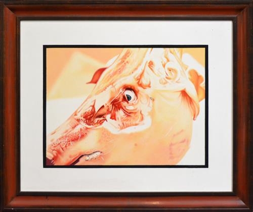 Ivan Durrant | Pigs Head (1978) | MutualArt