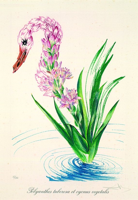 Salvador Dalí | Surrealistic Flowers (1972) | MutualArt