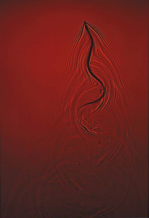 Adam Fuss | Untitled (Large Flowers, Plants) (1994) | MutualArt