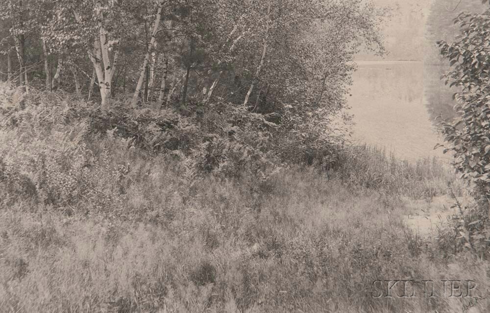 William B. Post | Landscape Study with Birch Trees and Water (Circa ...