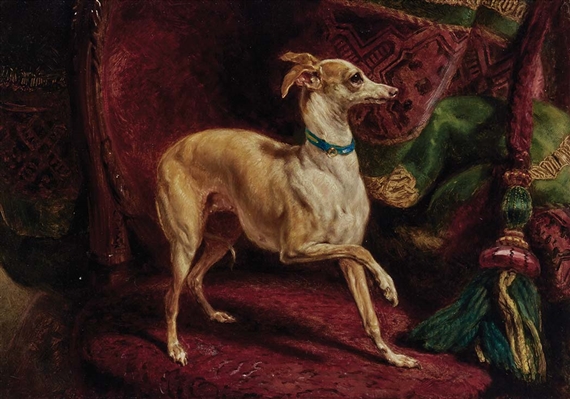 Samuel John Carter | An Italian Greyhound on a Chair | MutualArt