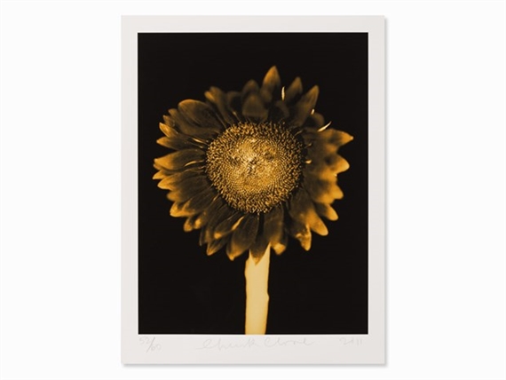 Chuck Close | Untitled (Sunflower) (2011) | MutualArt